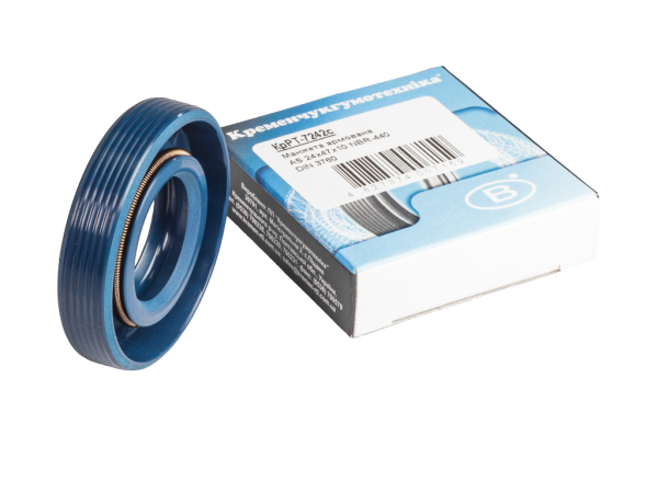 Radial-Wellendichtringe (RWDR) AS 24x47x10 NBR-440 blau DIN 3760 ...